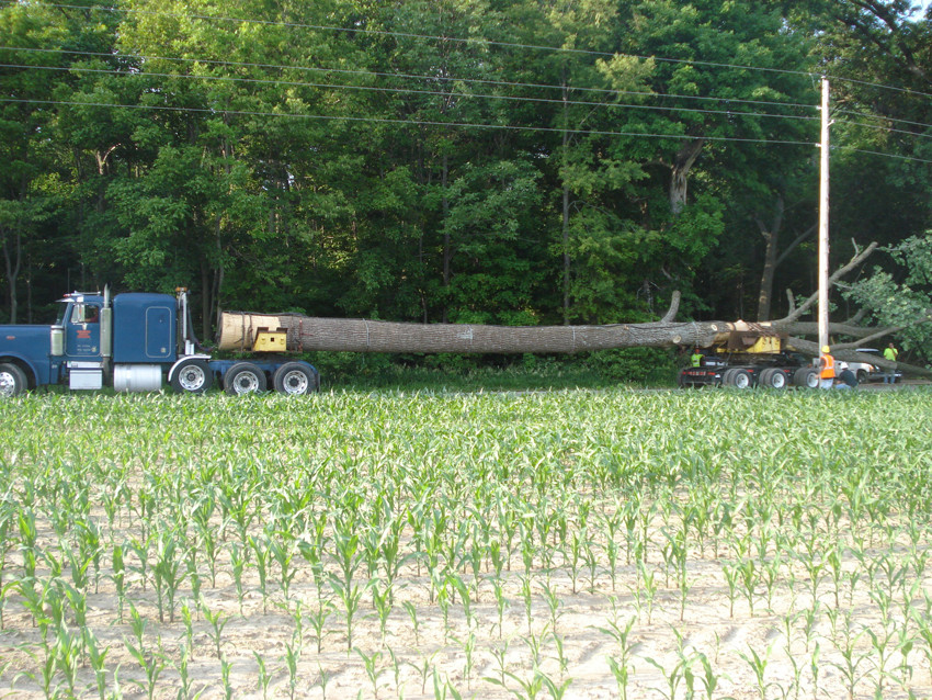 Gallery of Chop Stick / Visiondivision - 16