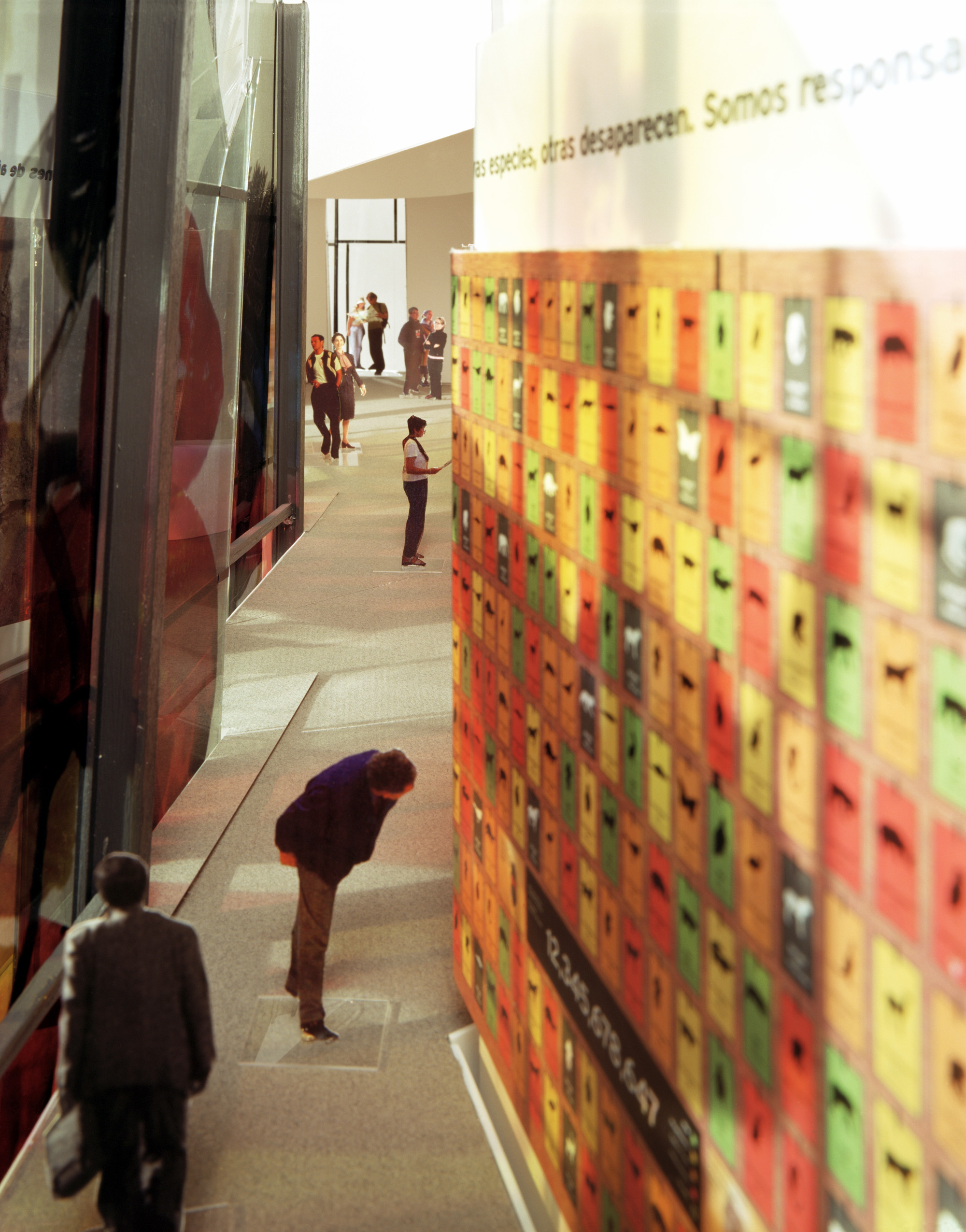 Gallery of In Progress: The Biomuseo / Frank Gehry - 28