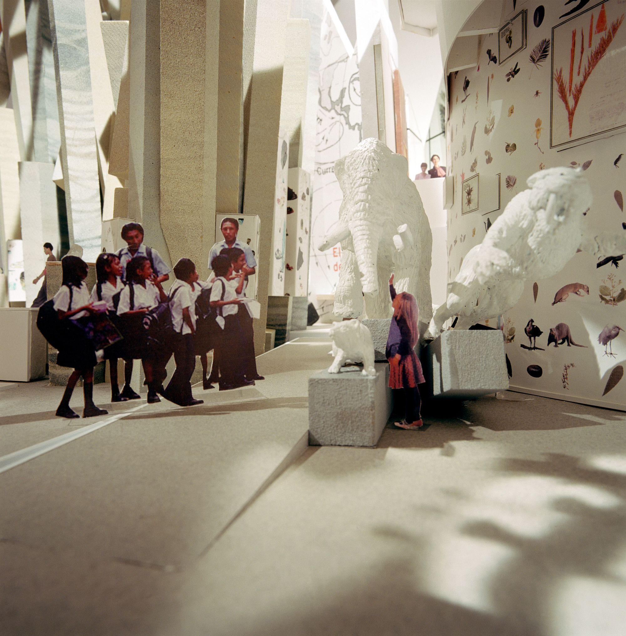 Gallery of In Progress: The Biomuseo / Frank Gehry - 34