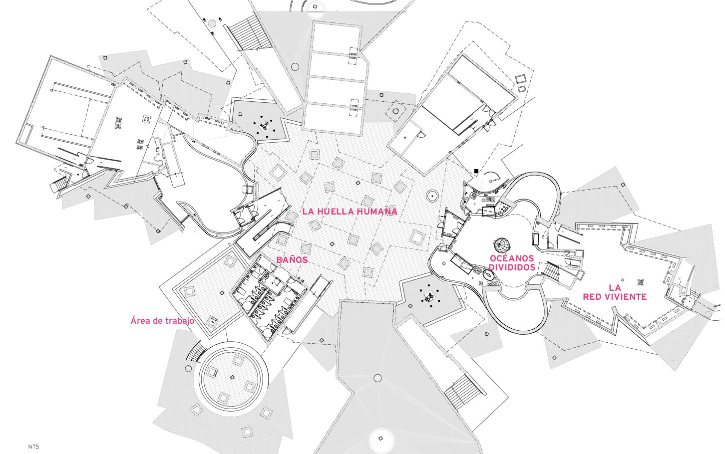 Gallery of In Progress: The Biomuseo / Frank Gehry - 37