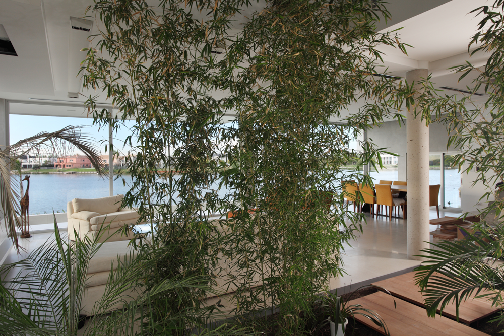 Galería de Casa del Cabo / Andrés Remy Arquitectos - 20