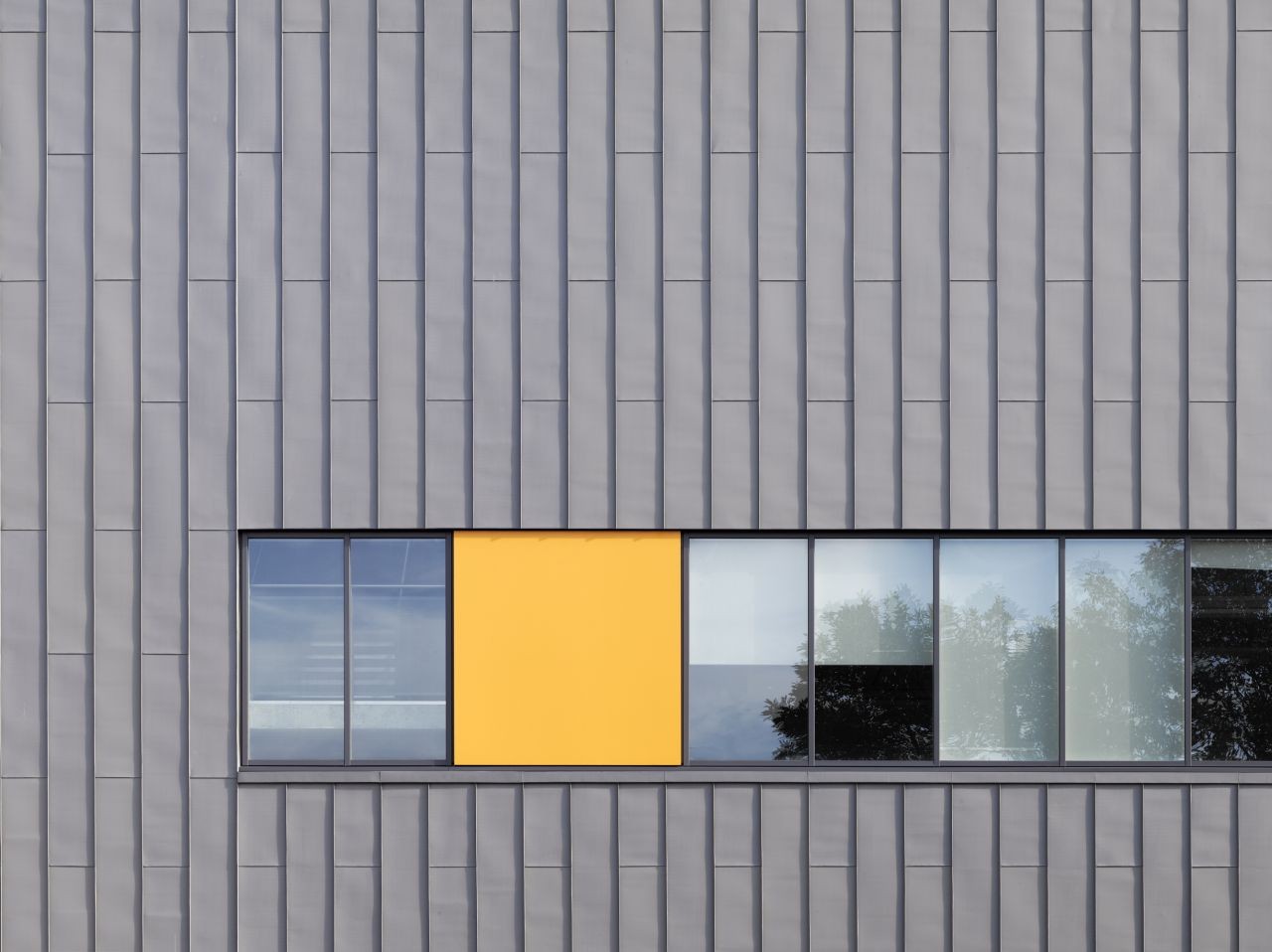 Gallery of Castle View School / Nicholas Hare Architects - 7