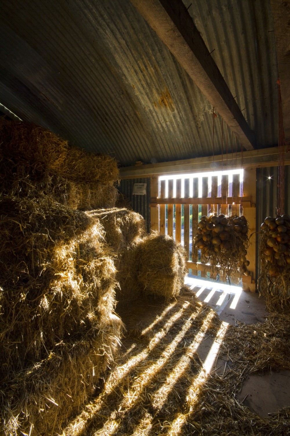 Gallery of Commonage Summer School Project 2012 / Cowshed Collective - 16