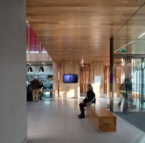 Gallery of Ballyroan Library / Box Architecture - 4