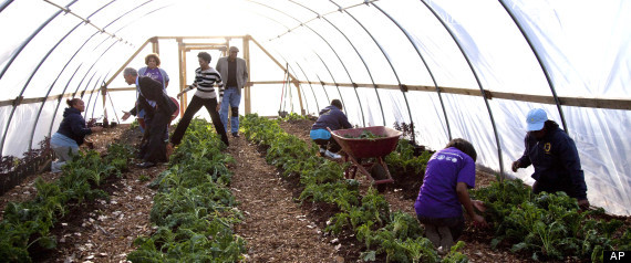 Chicago's Mayor Launches Transformative Urban Farming Plan | ArchDaily