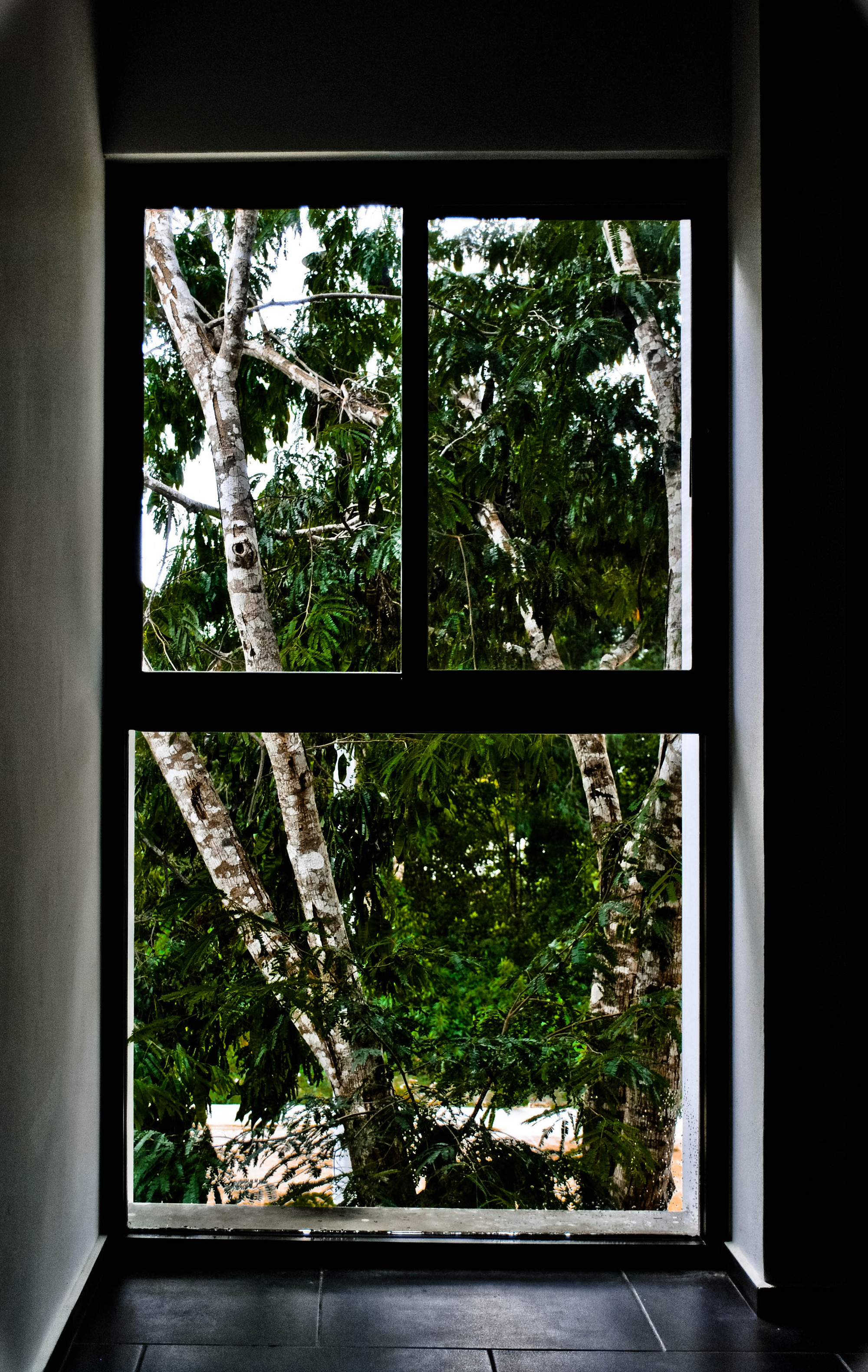 Galeria de Casa W39 / Warm Architects - 14