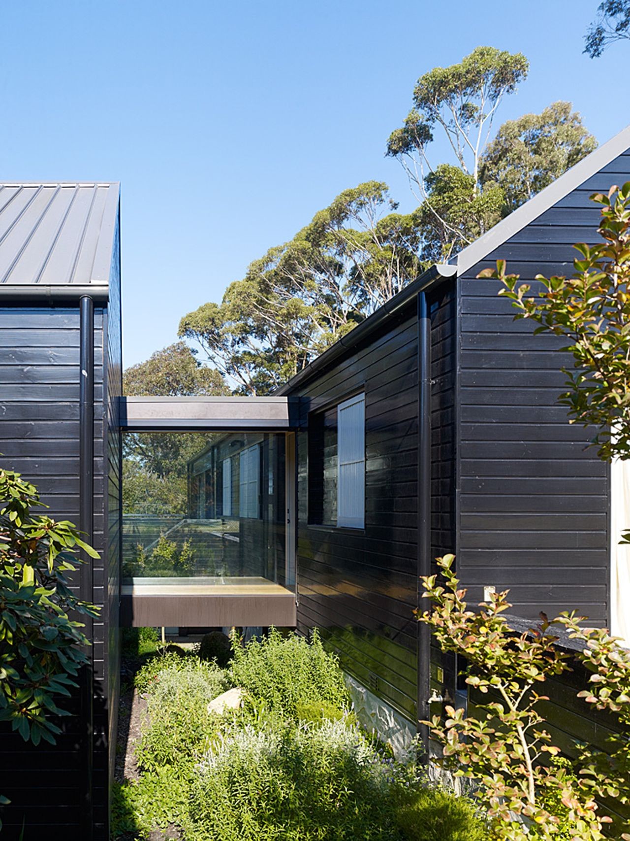 Gallery of Blake Street / B.E Architecture - 14