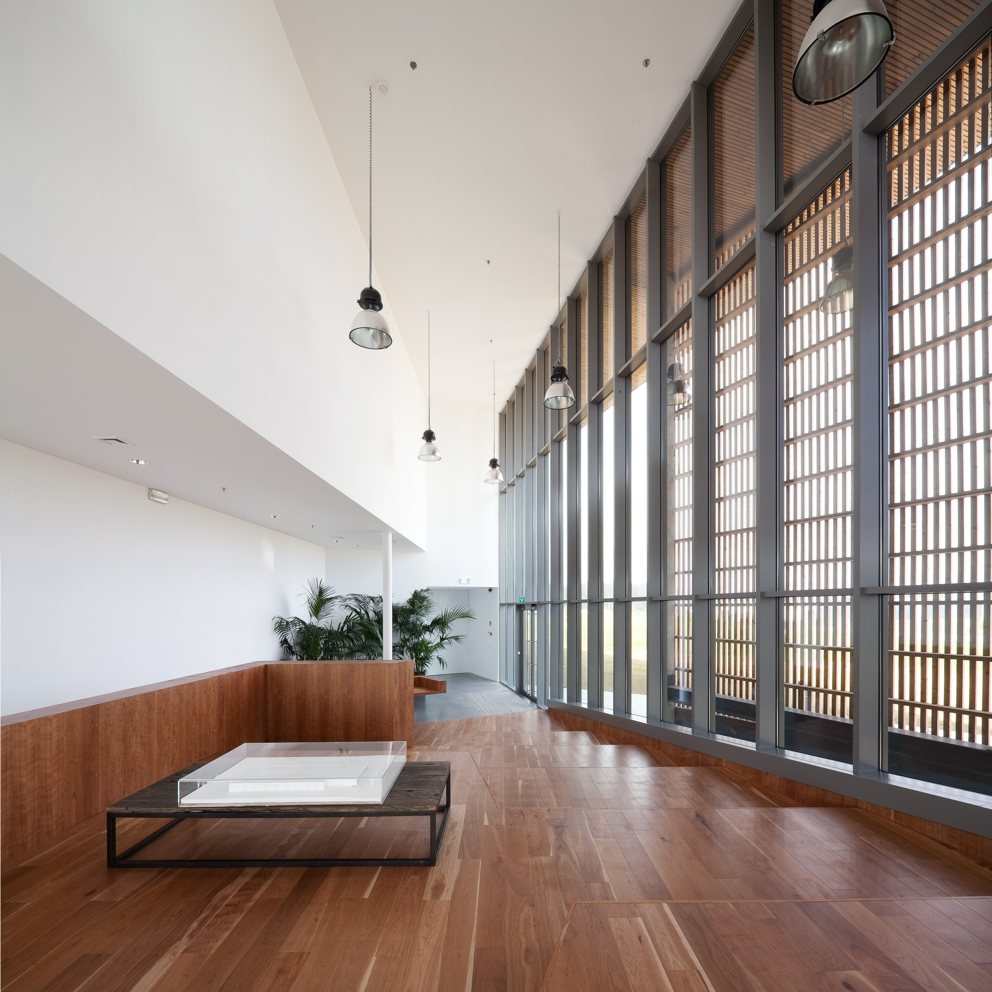 Gallery of "Fancy" Retail Headquarters / Urban Platform - 3