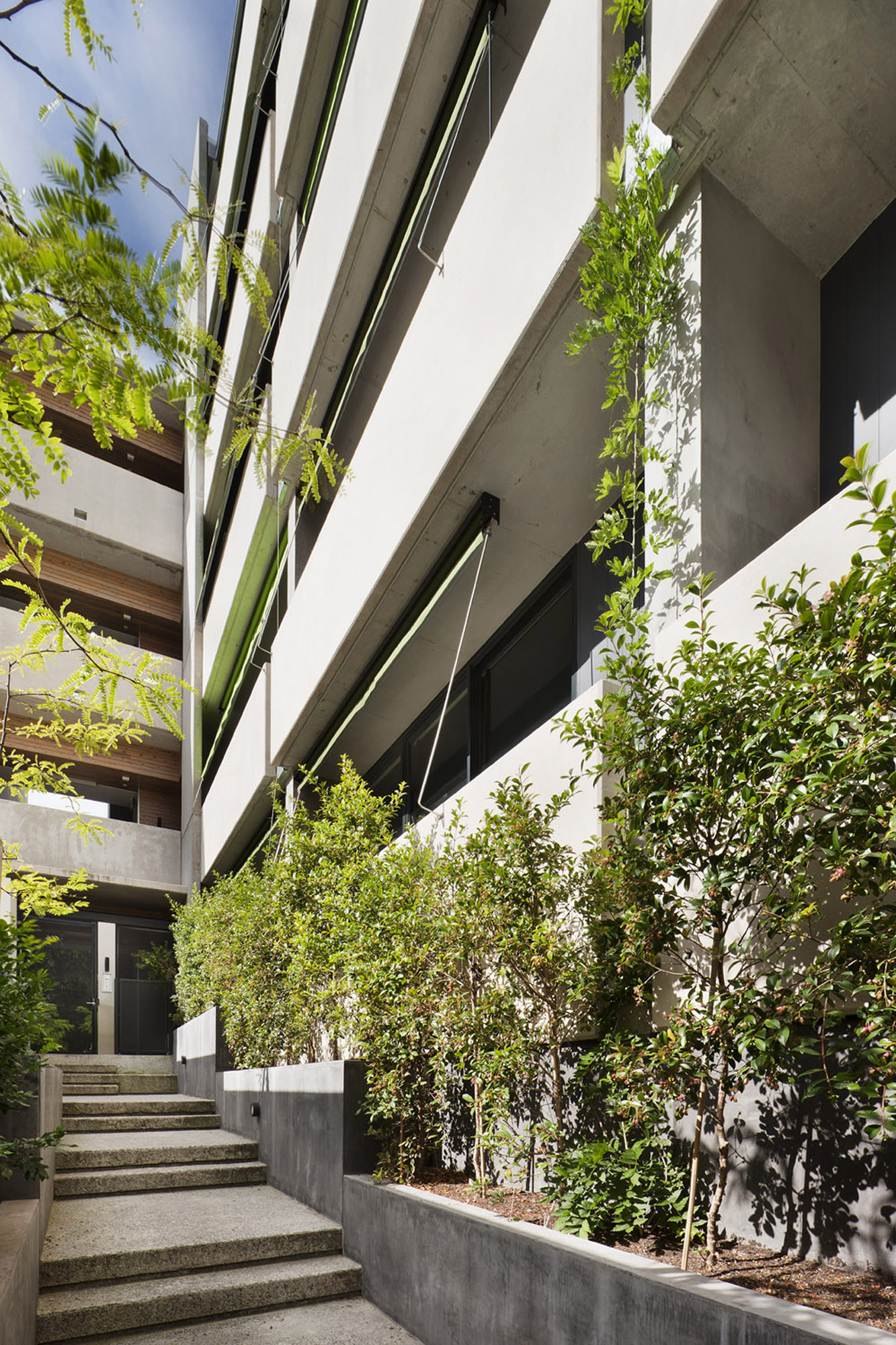 Gallery of Harper Lane Apartments / McAllister Alcock Architects in ...