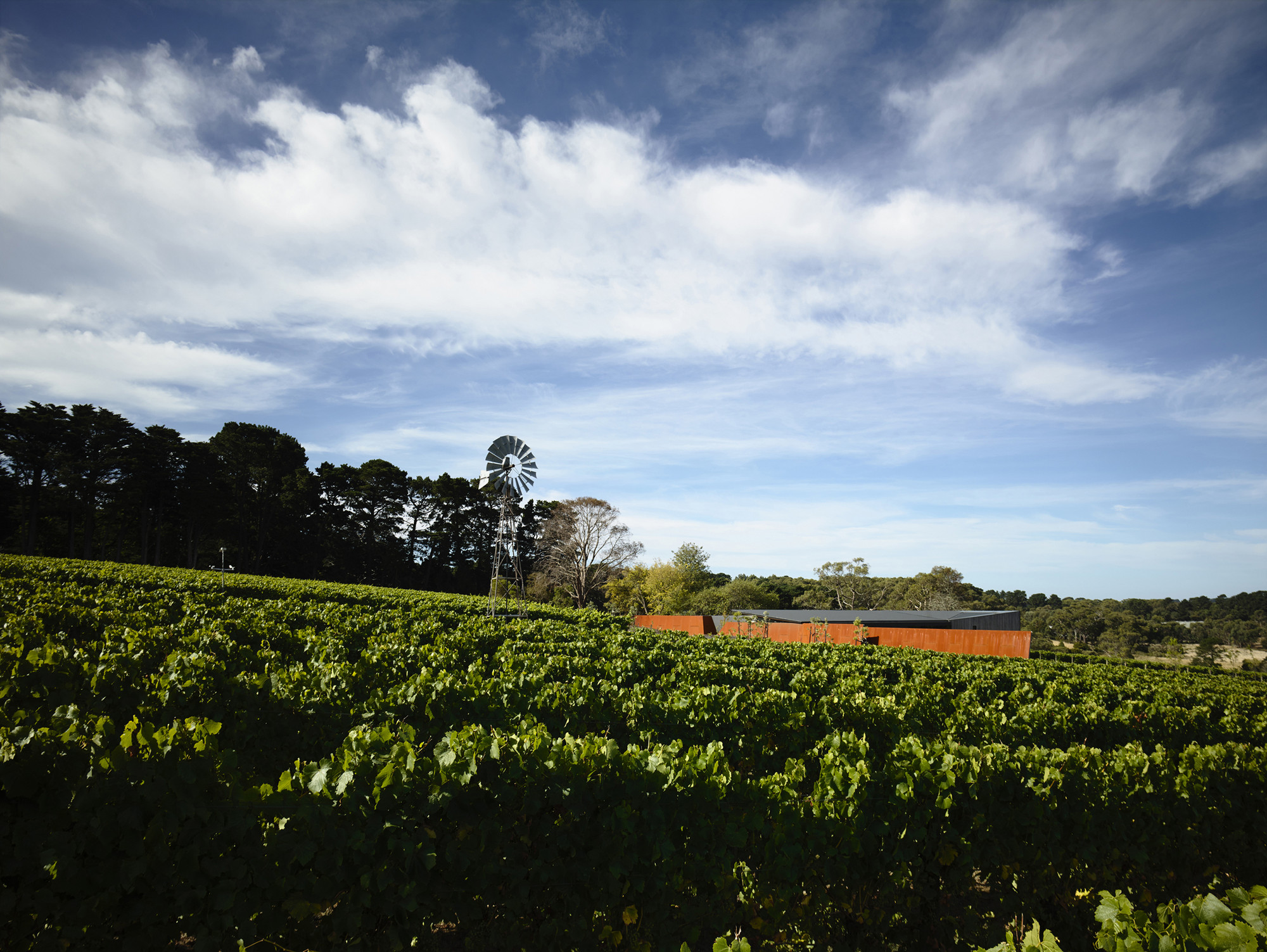 Gallery of Main Ridge House / McAllister Alcock Architects - 4