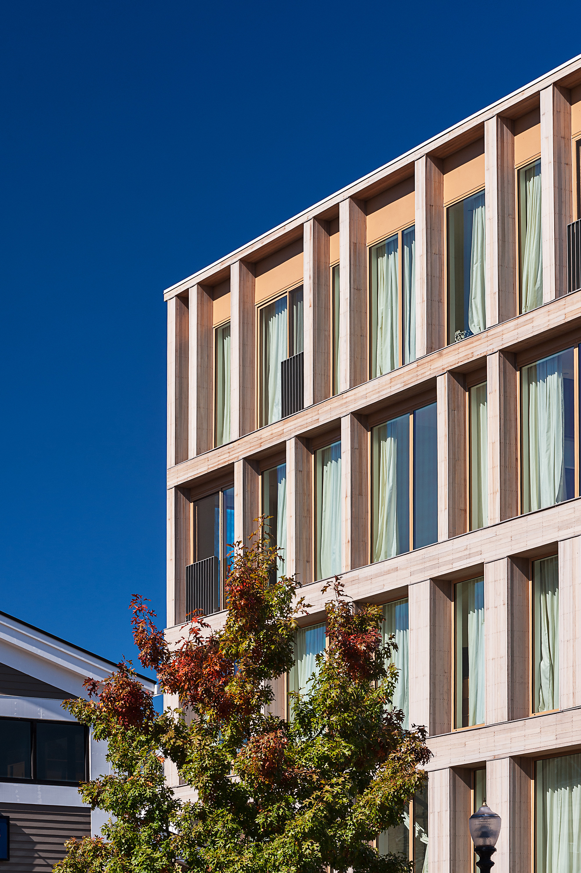 Gallery of Boltwood Place / Holst Architecture - 5