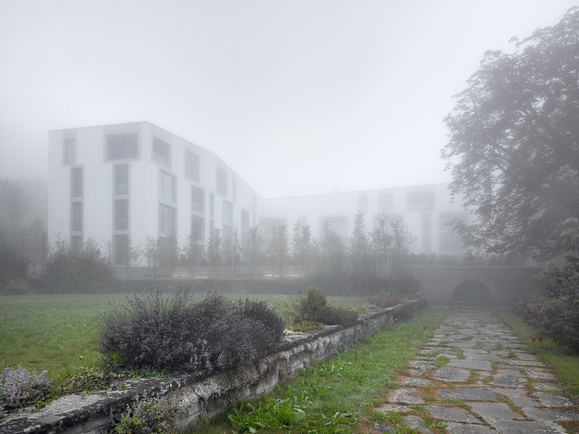 Gallery of Housing Im Forster / EM2N - 2