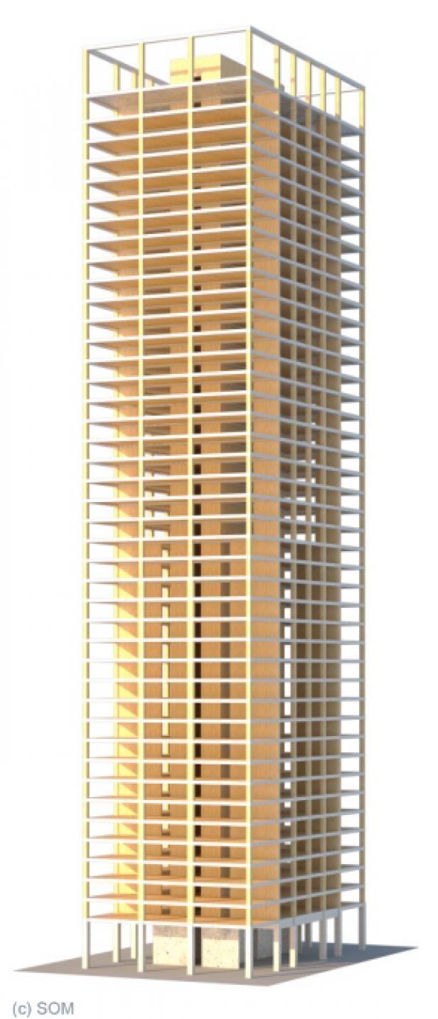 Gallery of The Timber Tower Research Project: Re-imagining the ...