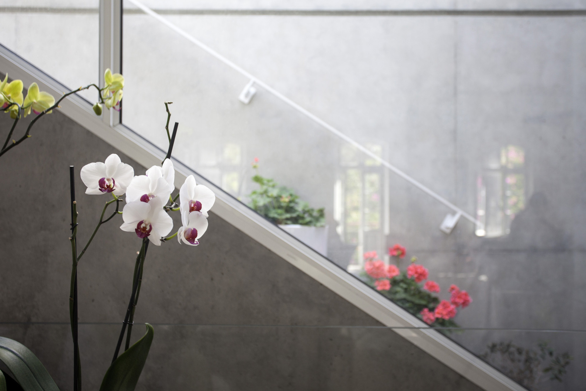 Gallery of The Noemi Givon House / Ori Glazer + Nili Gal Mester - 13