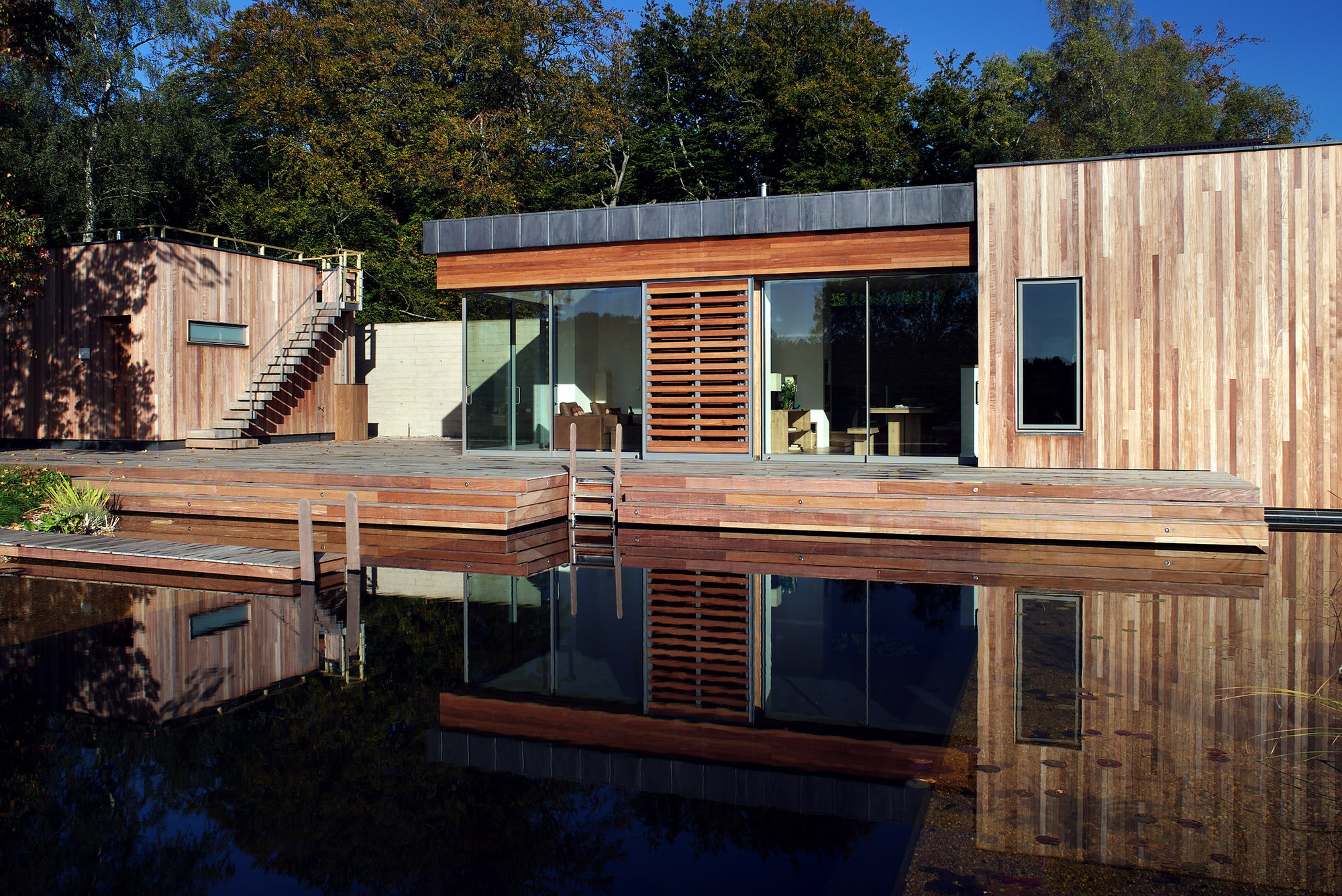 Gallery of New Forest House / PAD studio - 6