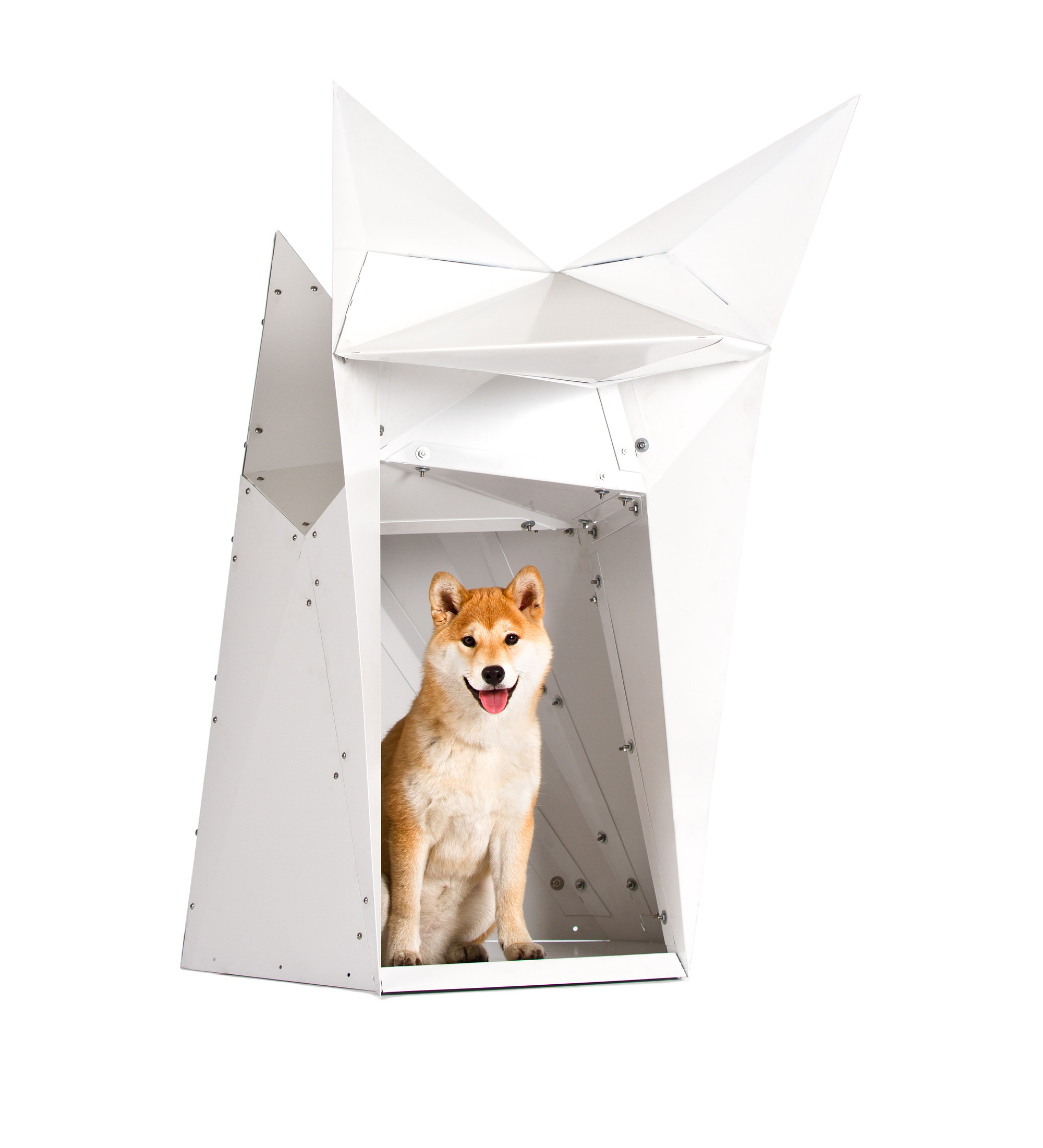 Gallery of Dogchitecture, Inspired by "Architecture for Dogs" - 5