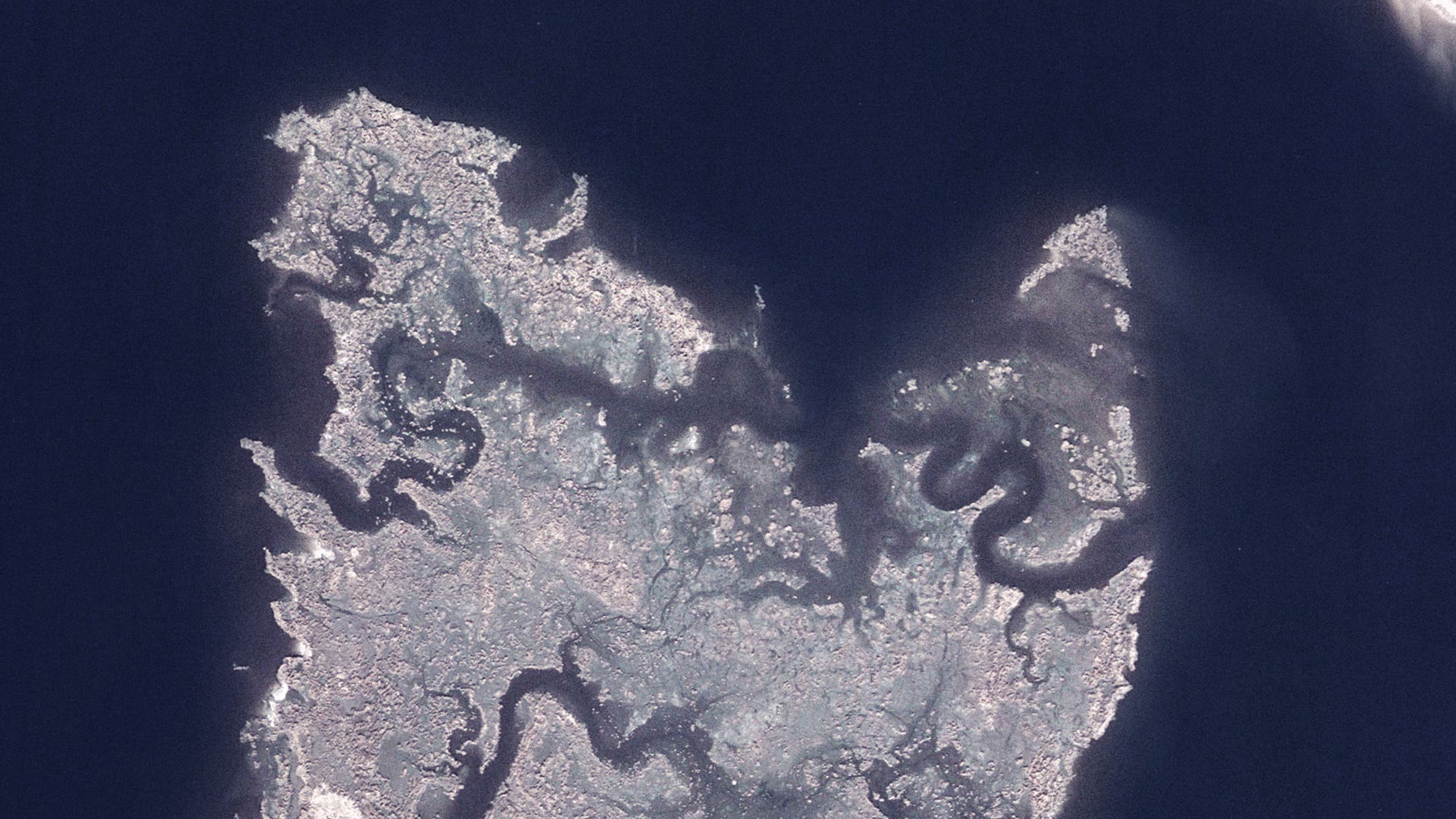 Gallery of 'Protective Ecologies: Building Resilience in Jamaica Bay ...