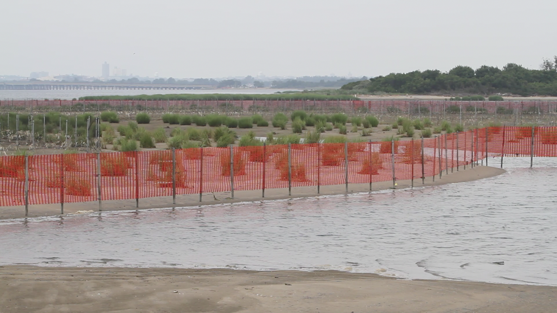 Gallery of 'Protective Ecologies: Building Resilience in Jamaica Bay ...