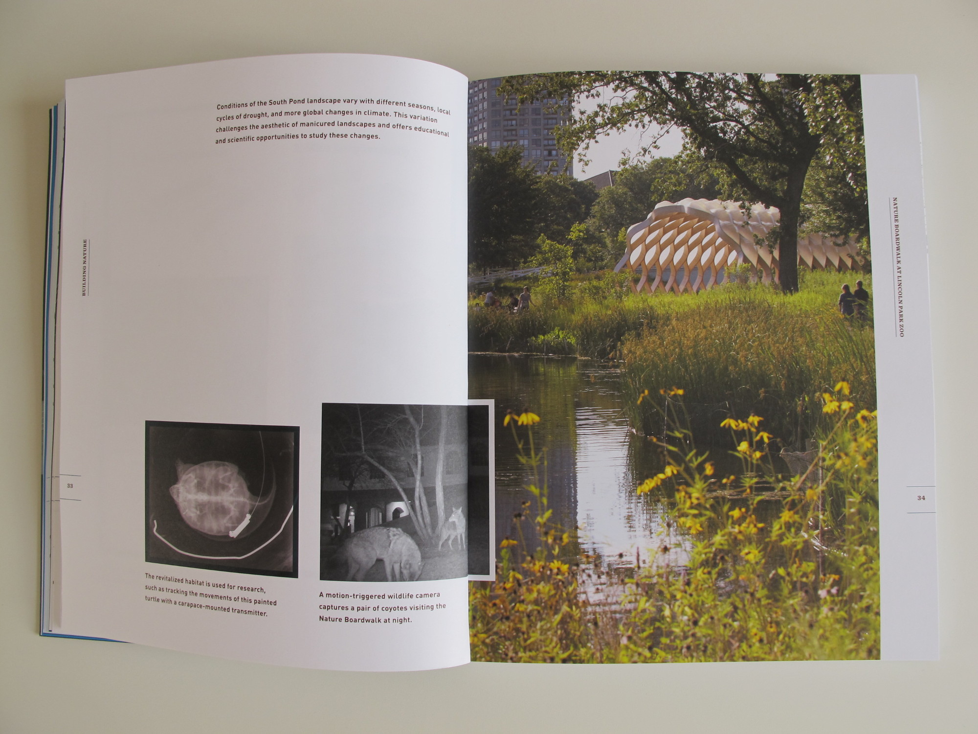 Gallery of Building: Inside Studio Gang Architects / Jeanne Gang - 4