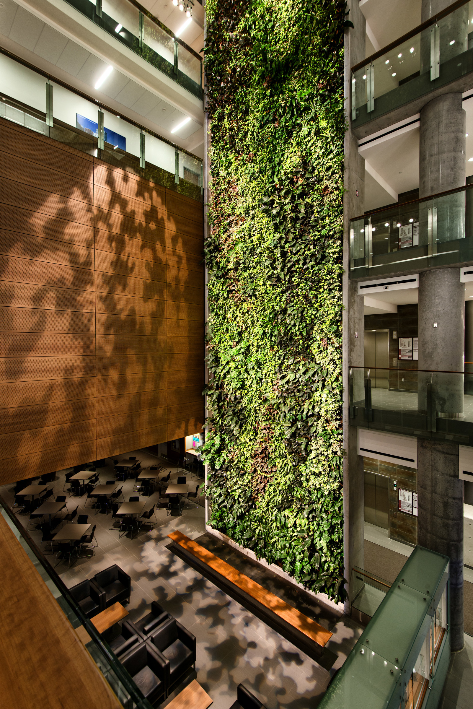 Gallery of University of Ottawa / KWC Architects + Diamond Schmitt ...