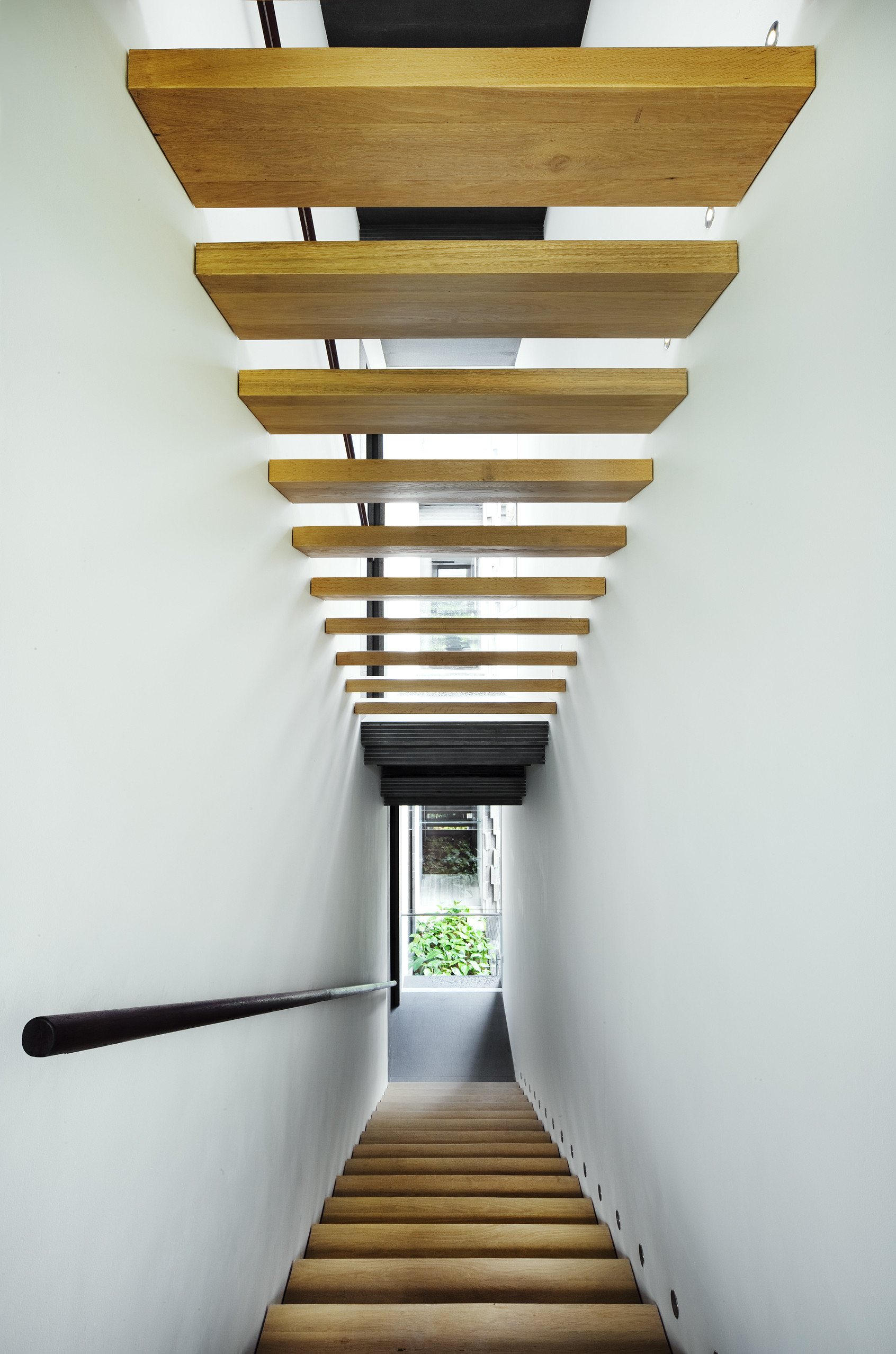 Gallery of Nest House / WOHA - 4