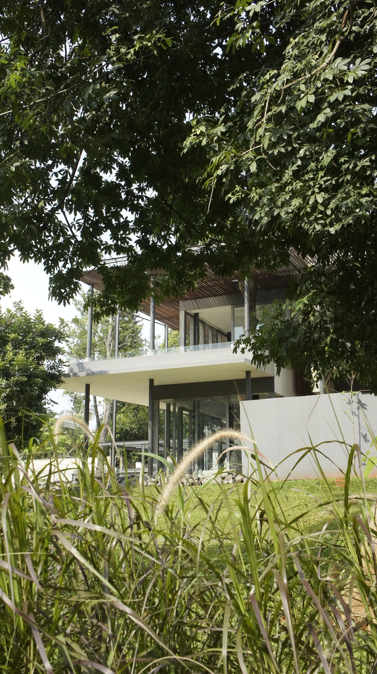 Galeria de Casa Light+Light / Studio TonTon - 16