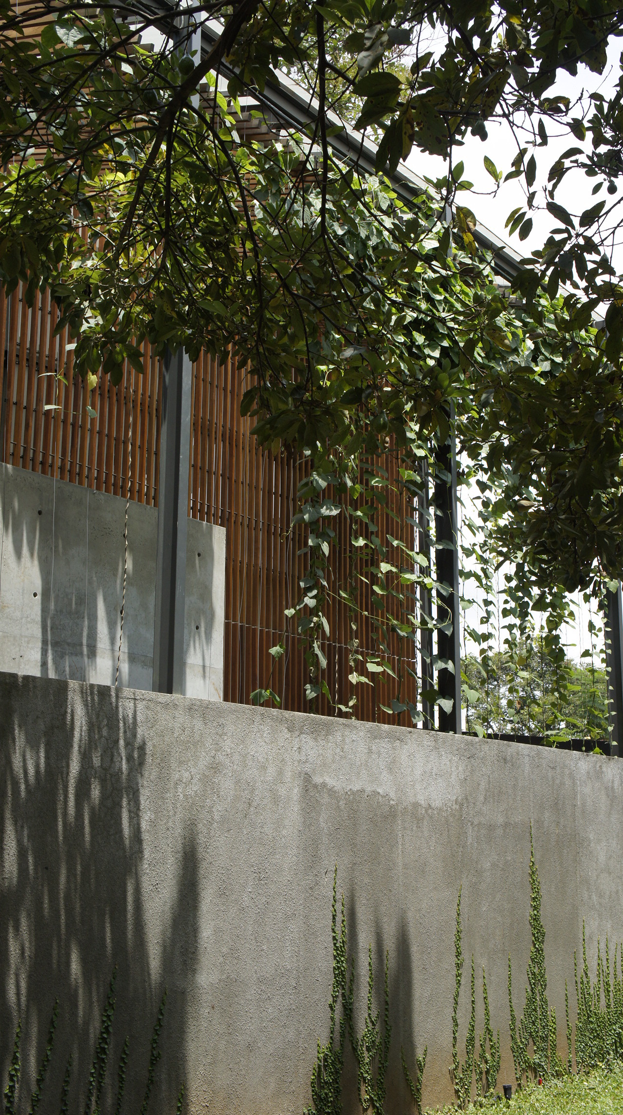 Galeria de Casa Light+Light / Studio TonTon - 4