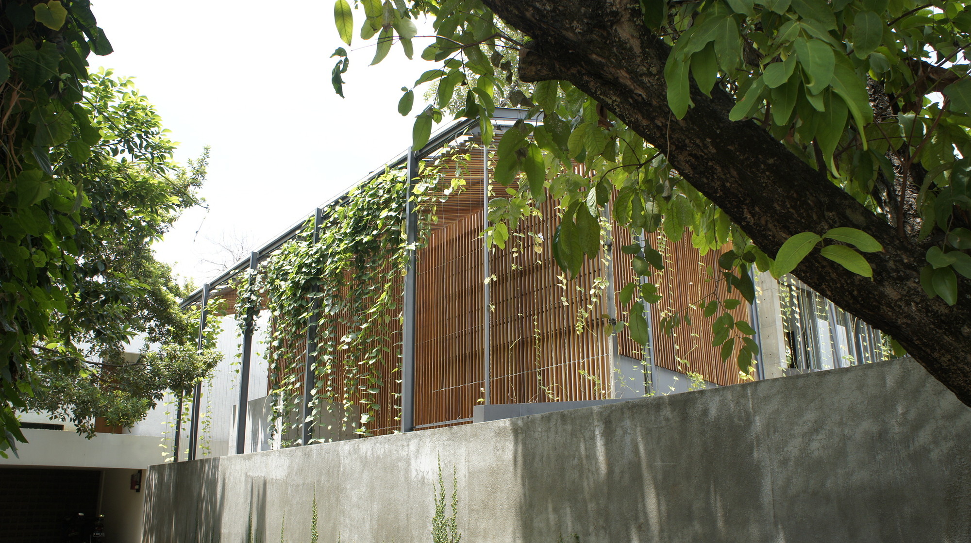 Gallery of Light+Light House / Studio TonTon - 5