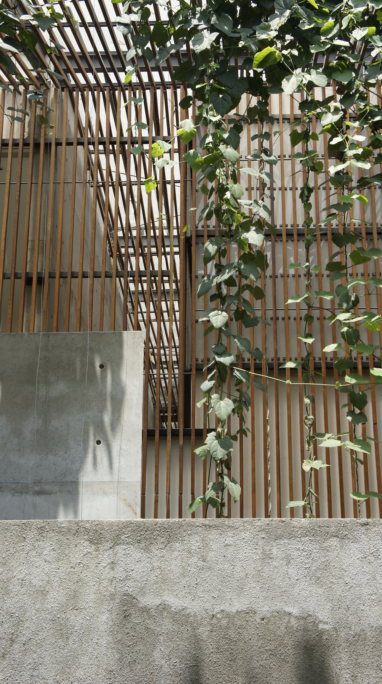 Galeria de Casa Light+Light / Studio TonTon - 21