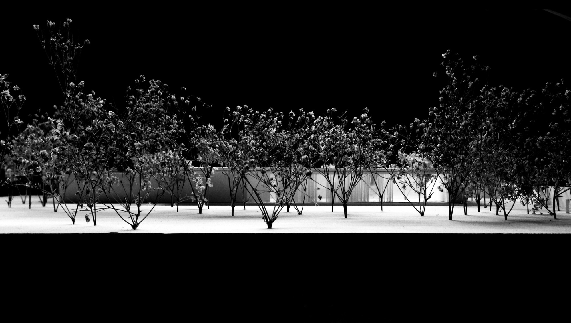 Gallery of Aidlin Darling Design Breaks Ground on Windhover ...