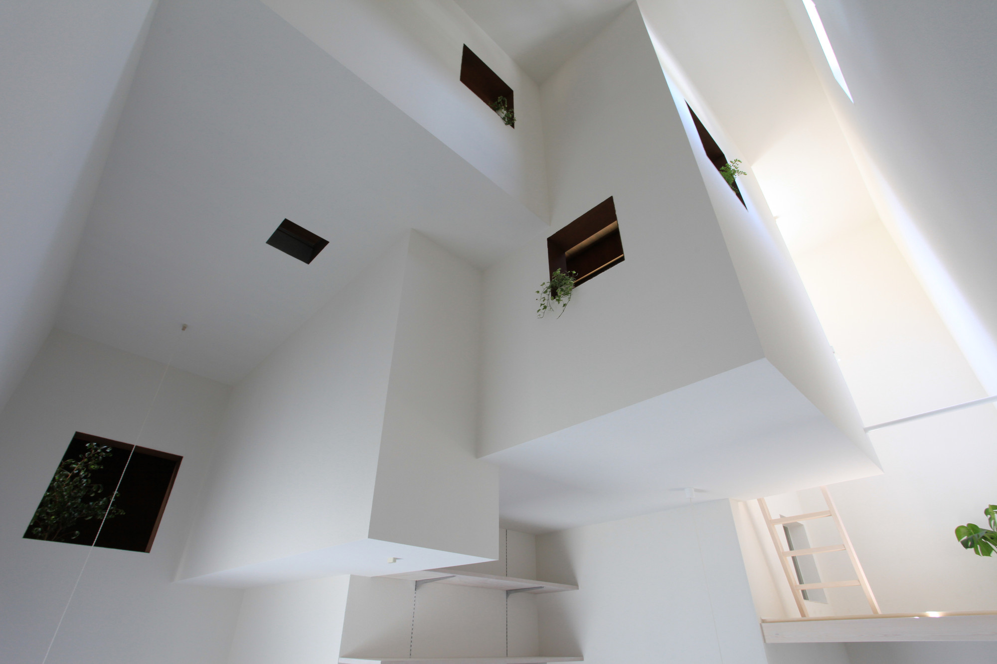 Galeria de Casa Kasamatsu / Katsutoshi Sasaki + Associates - 19
