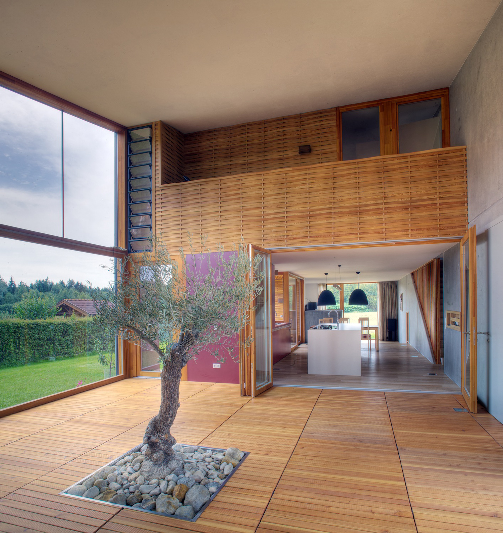 Gallery of Atriumhaus am Waldrand / Kleboth Lindinger Dollnig - 3