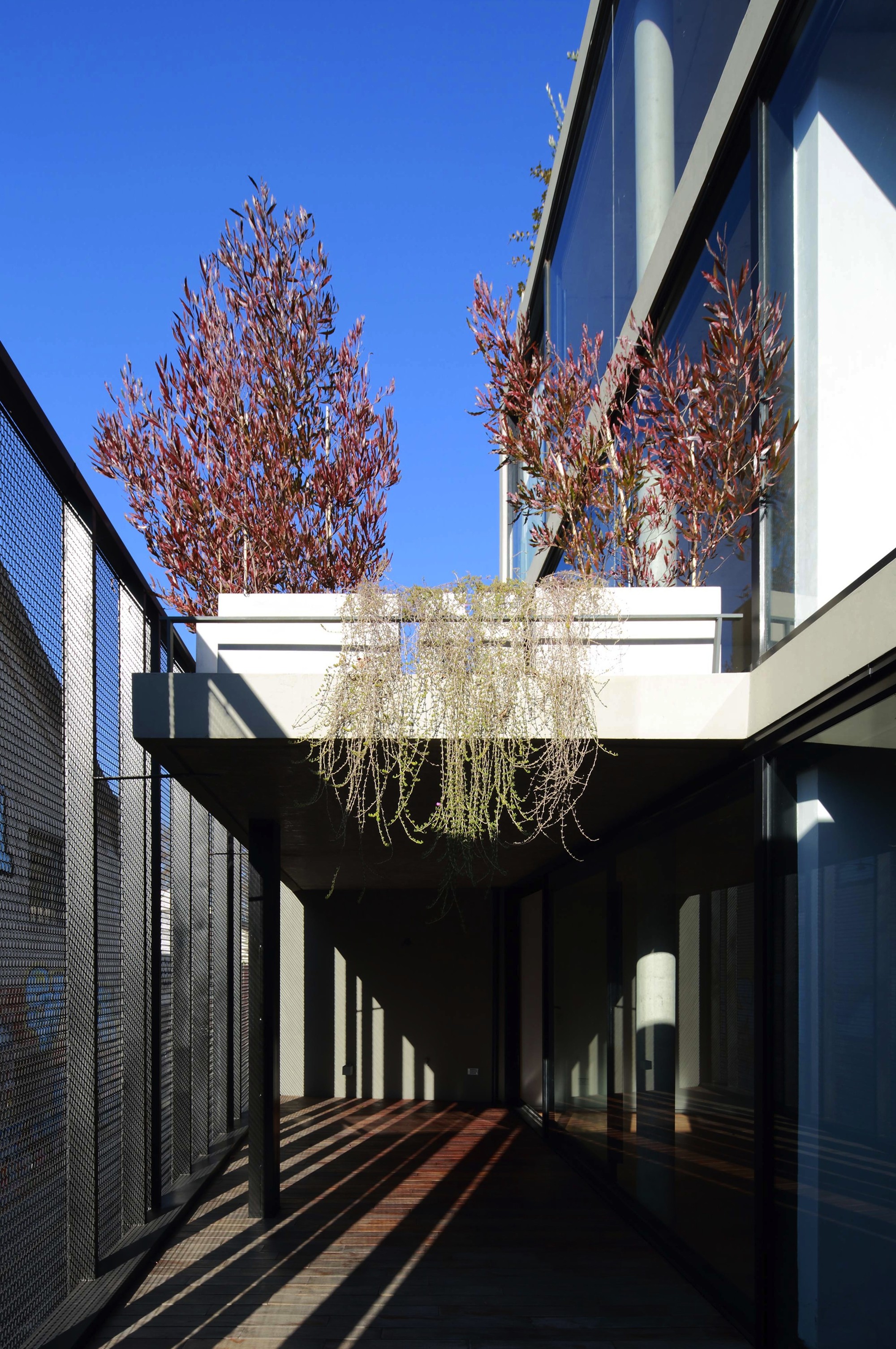 Gallery of Clustered Dwellings Building / Ana Smud + Estudio Rietti ...