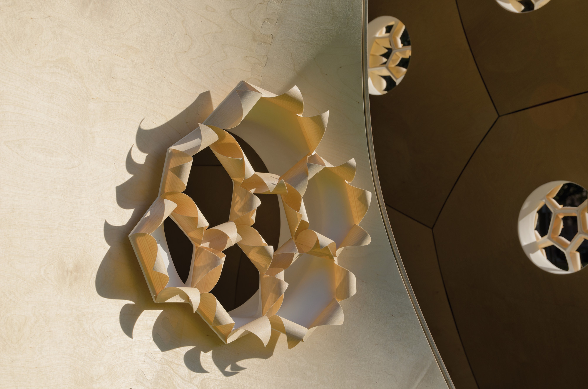 Galeria de HygroSkin - Pavilhão Sensível / Achim Menges Architect ...