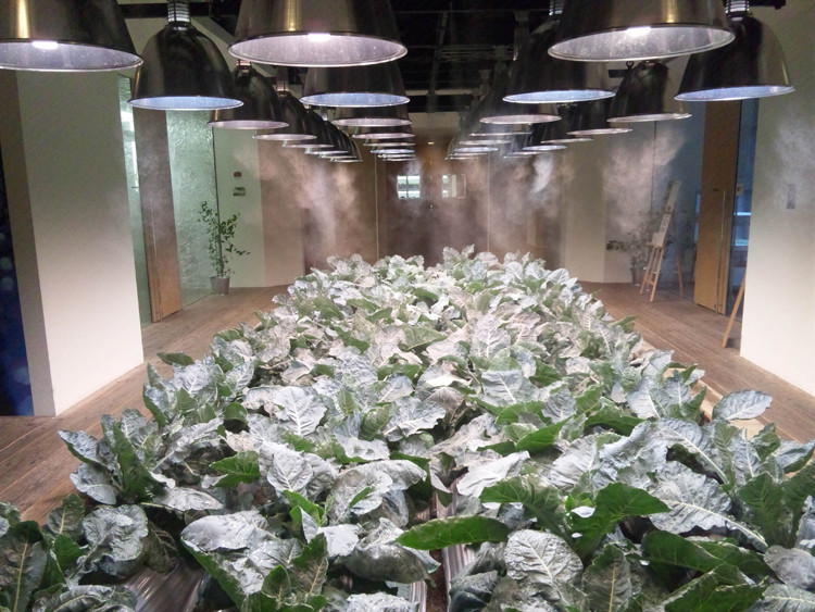Gallery of In Tokyo, A Vertical Farm Inside and Out - 11