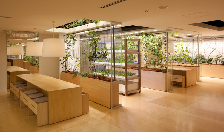 Gallery of In Tokyo, A Vertical Farm Inside and Out - 10