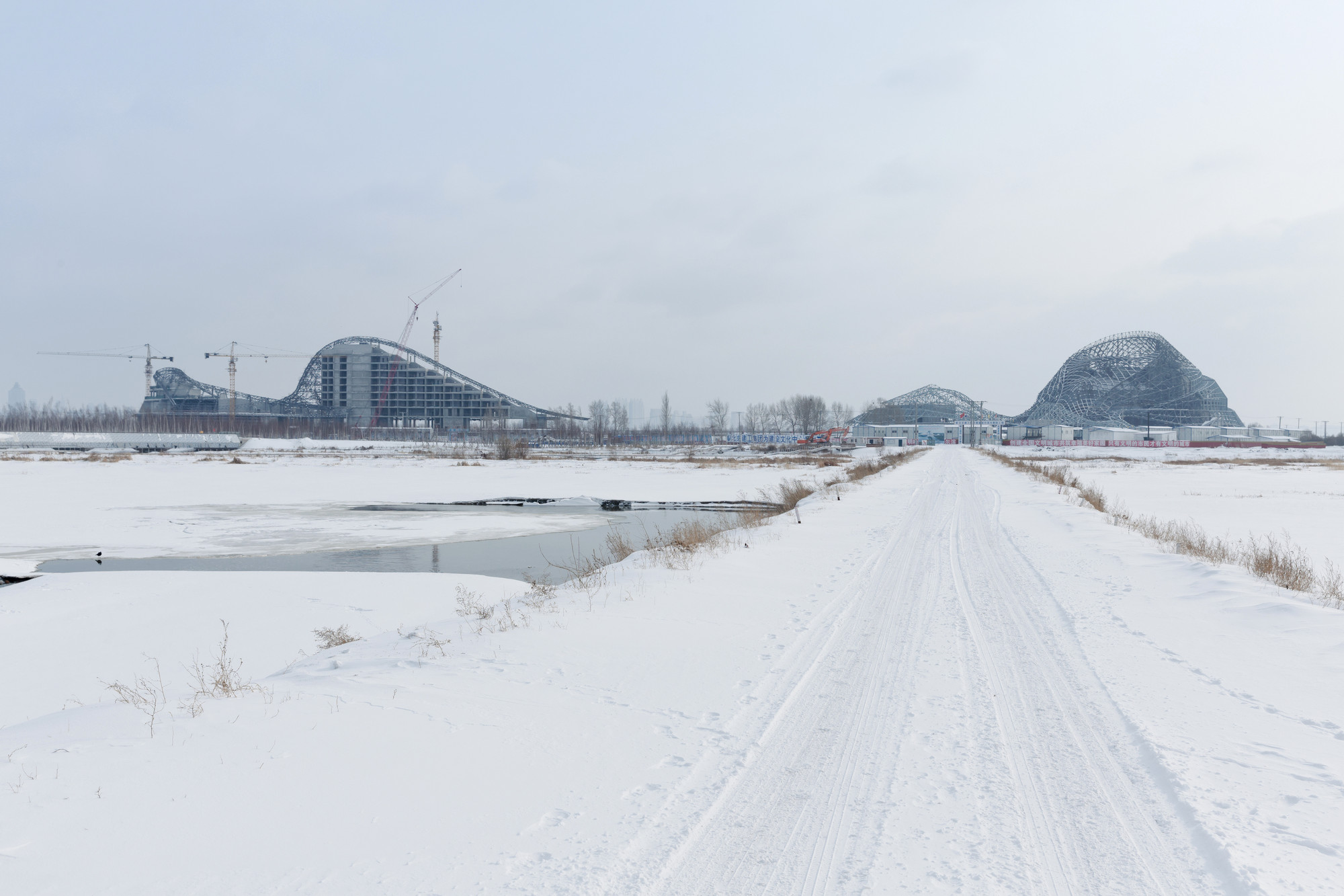 Gallery of Harbin Cultural Center / MAD Architects - 11