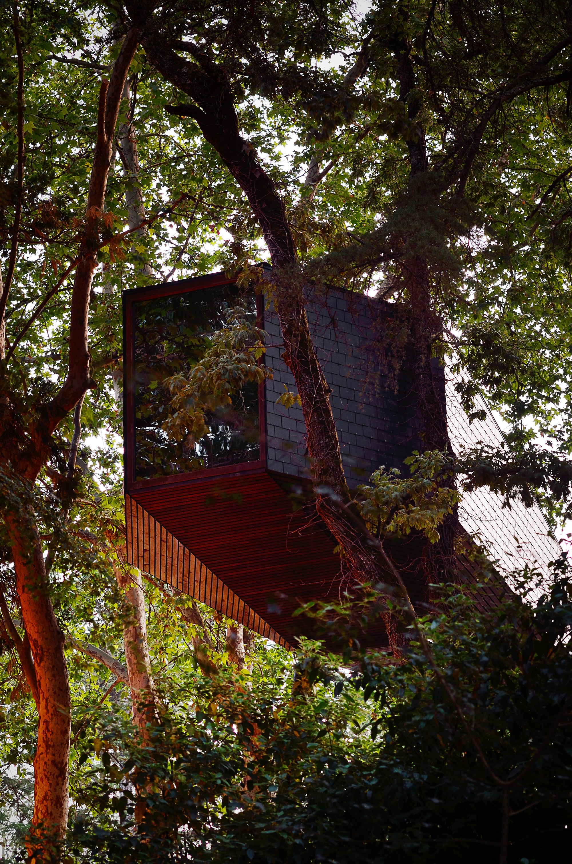 Gallery of Tree Snake Houses / Luís Rebelo de Andrade + Tiago Rebelo de ...