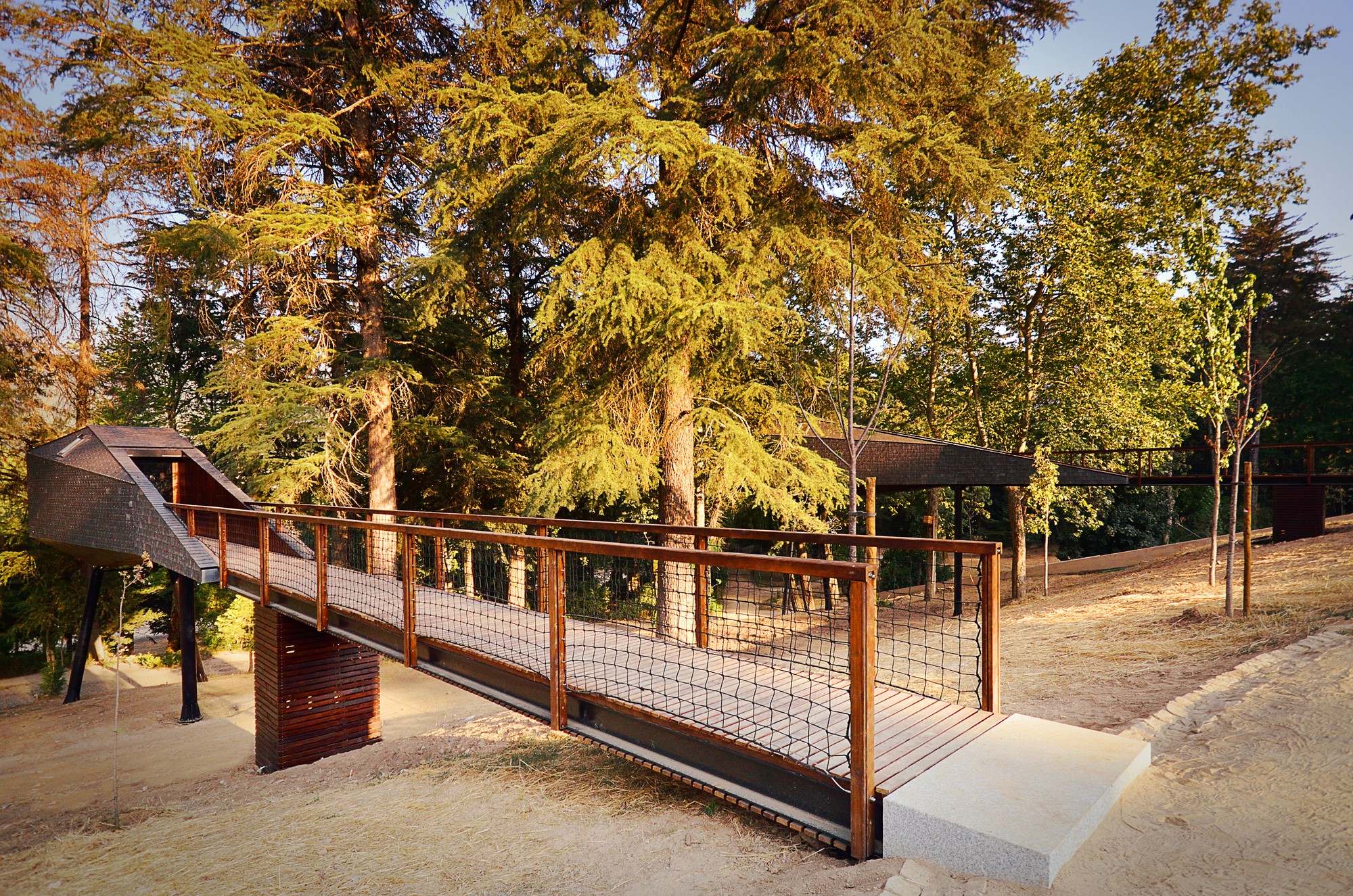 Gallery of Tree Snake Houses / Luís Rebelo de Andrade + Tiago Rebelo de ...