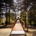 Tree Snake Houses / Luís Rebelo de Andrade + Tiago Rebelo de Andrade ...