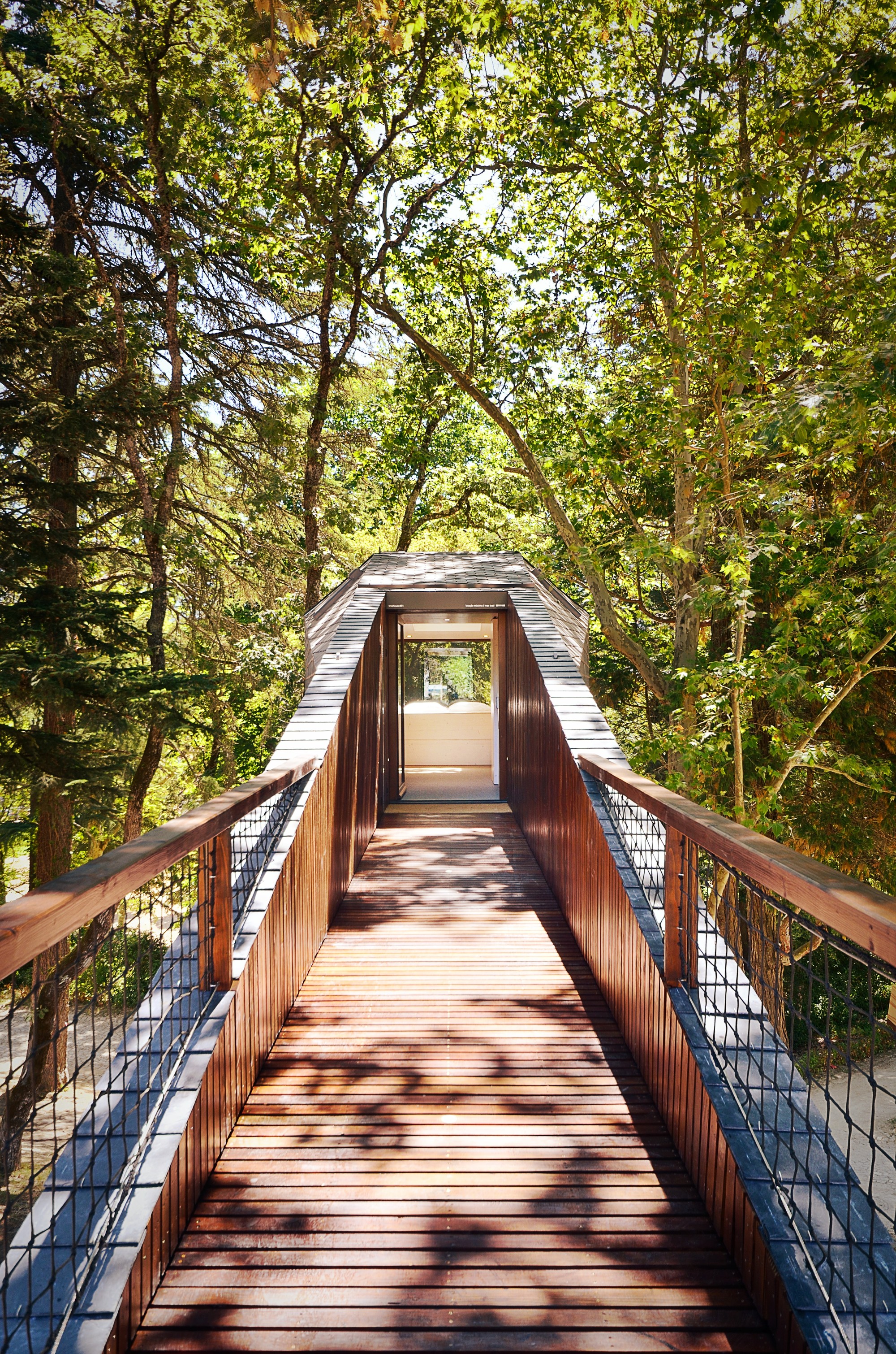 Galería de Casas Tree Snake / Luís Rebelo de Andrade + Tiago Rebelo de ...