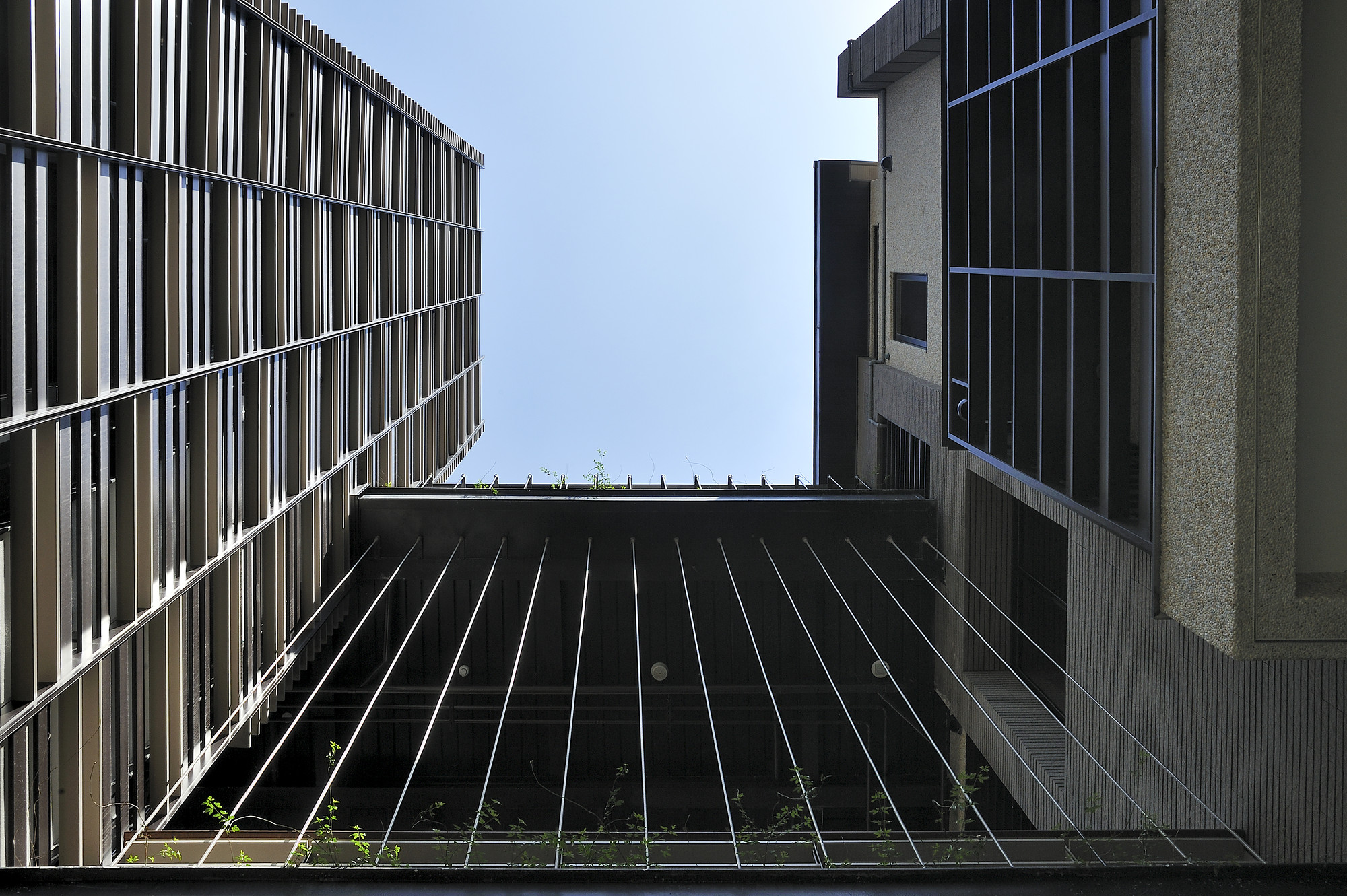 Gallery of Mountain Moon / Chin Architects - 10