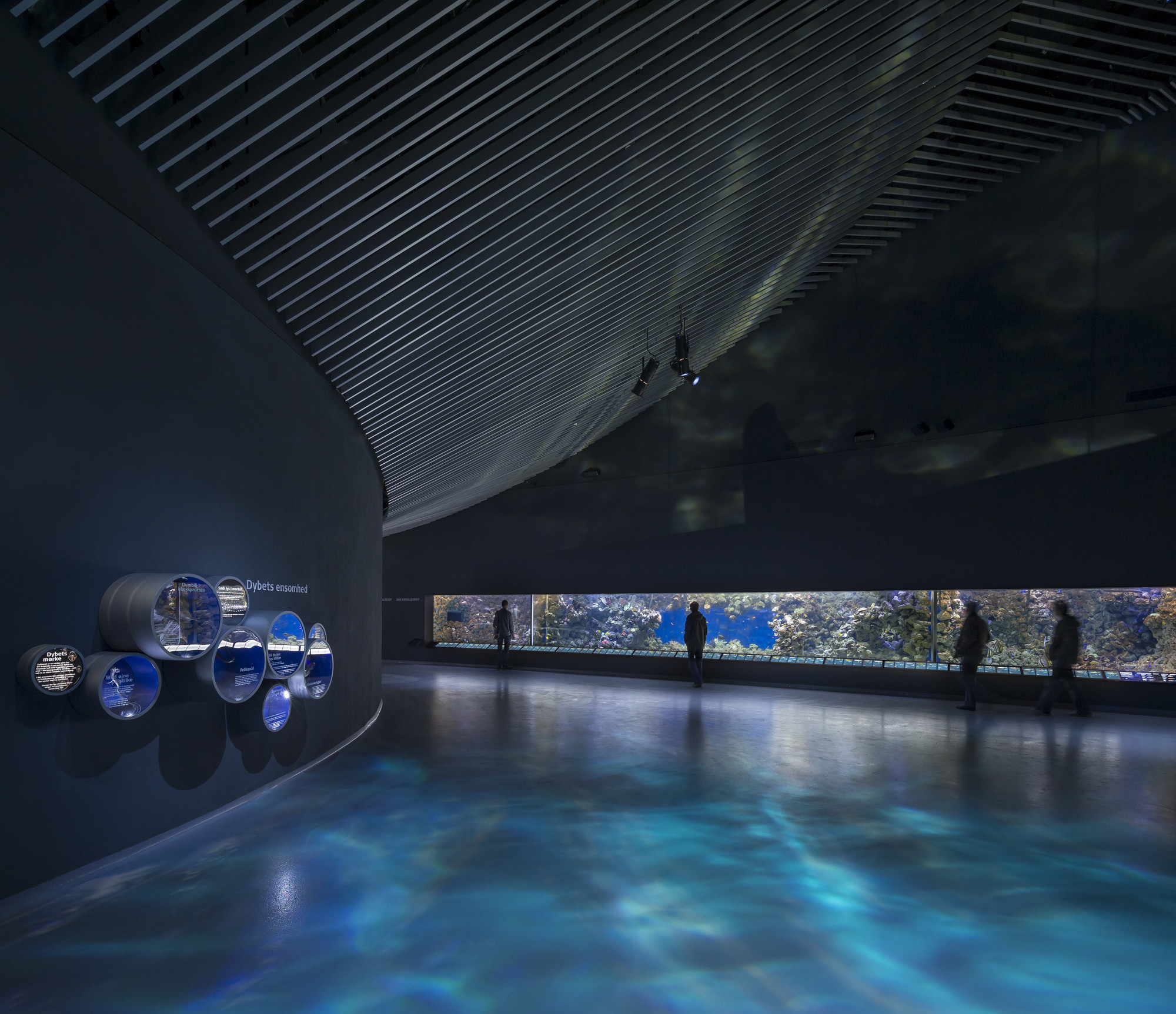 Gallery of The Blue Planet / 3XN - 13