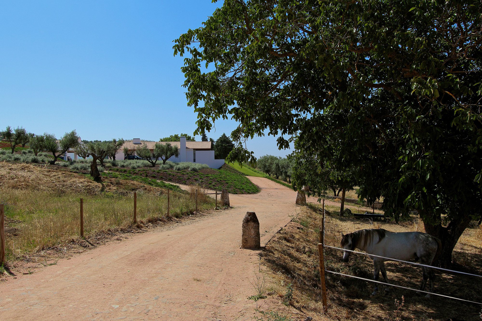 Gallery of House in Vila Boim / Intergaup - 10