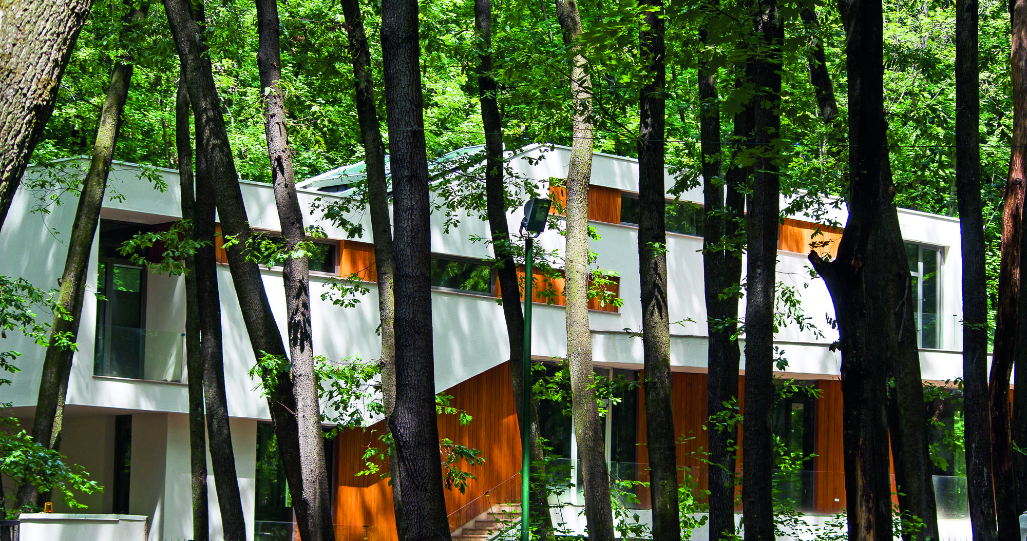 Gallery of A House In A Forest / Igloo Architecture - 7