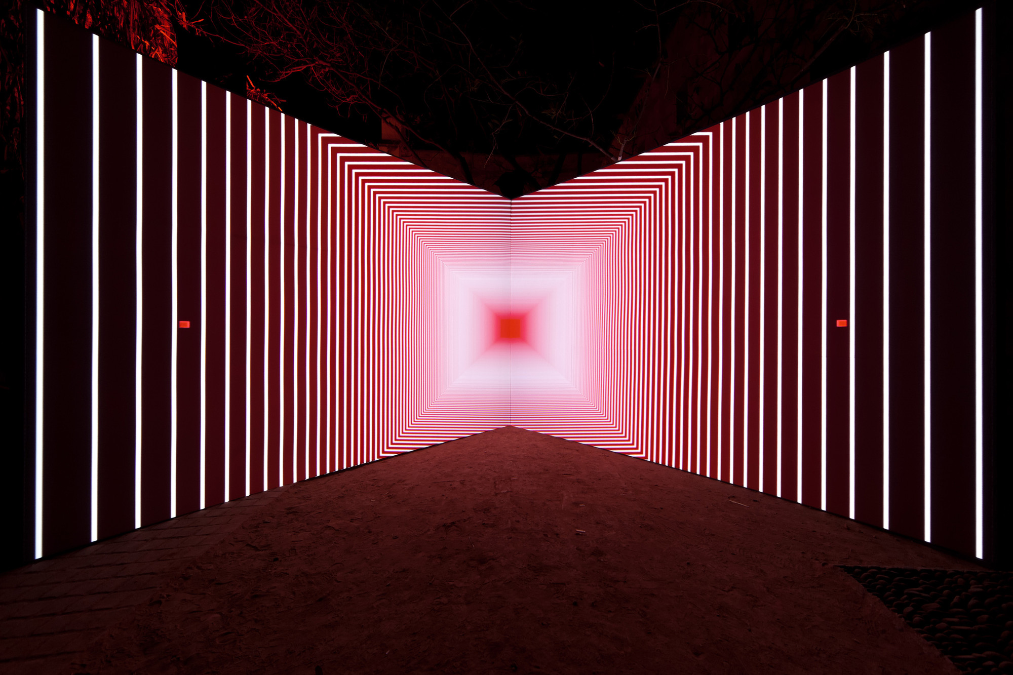 Gallery of Onion Skin / Olivier Ratsi - 14