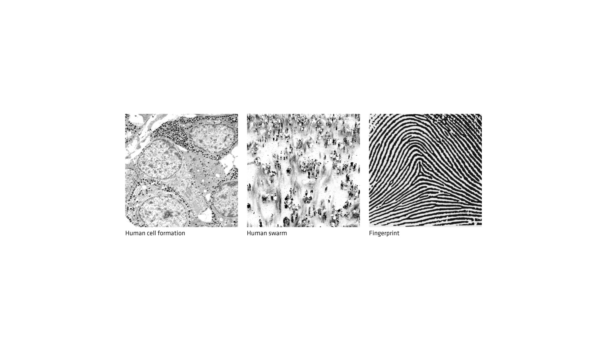 Gallery of BIG Selected to Design Human Body Museum in France - 18