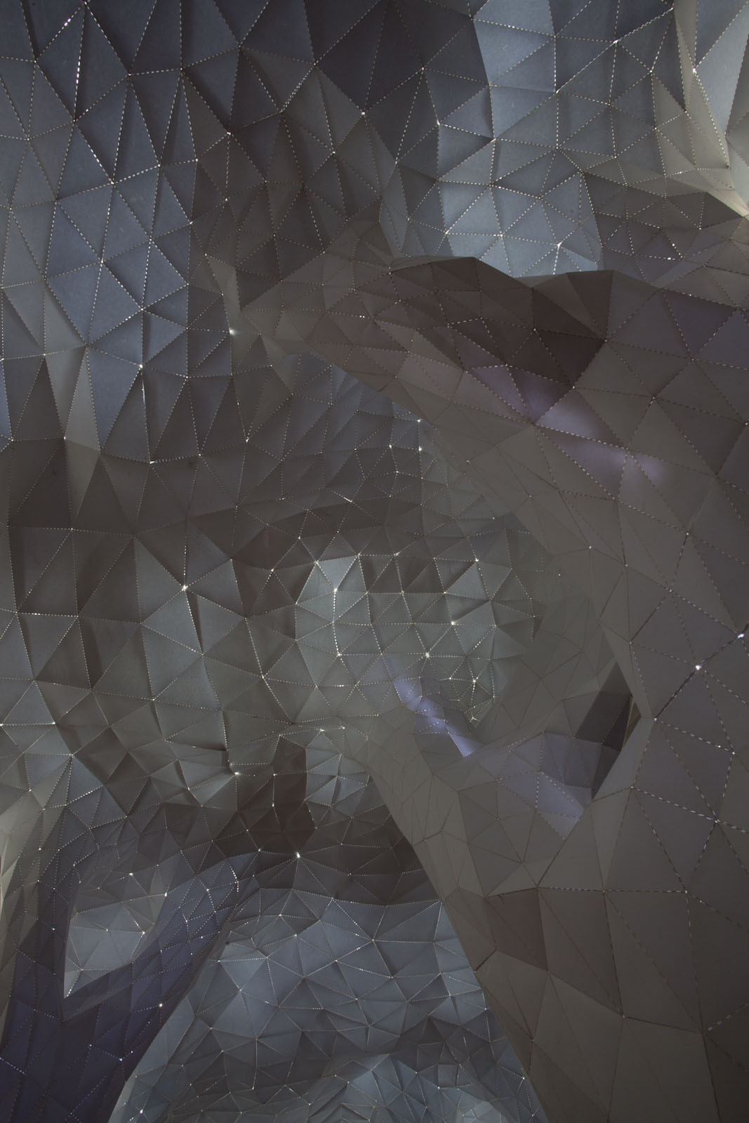 Gallery of Vana: A Nature-Inspired Structure that Grows Like a Tree - 9