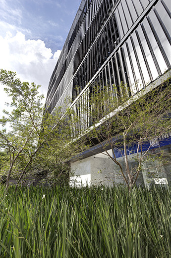 Gallery of LoMa Chapalita / Elías Rizo Architects - 5