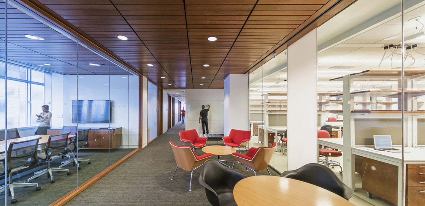 Gallery of Weill Cornell Medical College Belfer Research Building ...